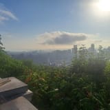 Mount Royal Park Loop, Quebec, Canada - 2,105 Reviews, Map | AllTrails