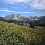 Washington Gulch Trail, Colorado - 405 Reviews, Map | AllTrails