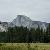 Sentinel Meadow Cook's Meadow Loop Trail, California - 3,978 Reviews ...