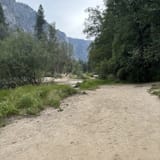 Sentinel Meadow Cook's Meadow Loop Trail, California - 3,945 Reviews ...
