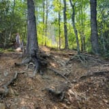 Compression Falls Trail, North Carolina - 384 Reviews, Map | AllTrails