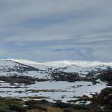 Porcupine Rocks Loop, New South Wales, Australia - 47 Reviews, Map ...