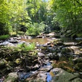 Boone Fork Trail, North Carolina - 3,734 Reviews, Map | AllTrails