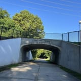 Longleaf Trace Trail, Mississippi - 306 Reviews, Map | AllTrails