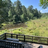 Longleaf Trace Trail, Mississippi - 306 Reviews, Map | AllTrails