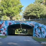 Longleaf Trace Trail, Mississippi - 306 Reviews, Map | AllTrails