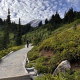 Skyline Loop, Washington - 17,308 Reviews, Map | AllTrails