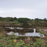 Lymington and Keyhaven Marshes Circular, Hampshire, England - 437 ...