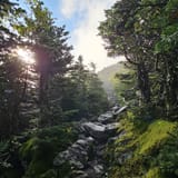Mount Adams via Air Line Trail, New Hampshire - 763 Reviews, Map ...