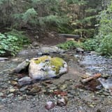 Fish Lake, Montana - 596 Reviews, Map | AllTrails