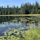 Fish Lake, Montana - 596 Reviews, Map | AllTrails