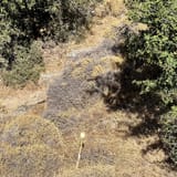 Mount Zas (Zeus) Trail, Naxos, Greece - 578 Reviews, Map | AllTrails