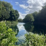 Wepre Park Circular, Flintshire, Wales - 493 Reviews, Map | AllTrails