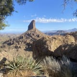 Lone Tree via Peralta Canyon Trail, Arizona - 1,944 Reviews, Map ...