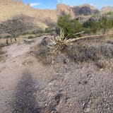 Lone Tree via Peralta Canyon Trail, Arizona - 1,944 Reviews, Map ...