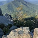 Sharp Top Trail, Virginia - 3,078 Reviews, Map | AllTrails