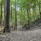 Abraham Lincoln Park White Trail, New York - 1,747 Reviews, Map | AllTrails