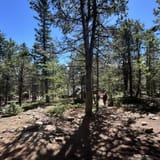 Barr Camp via Barr Trail, Colorado - 1,426 Reviews, Map | AllTrails