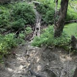 Cumberland Monastery Trail, Rhode Island - 2,119 Reviews, Map | AllTrails