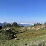 Skyline Loop, Washington - 17,308 Reviews, Map | AllTrails