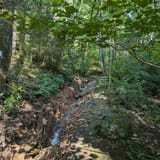 Zoar Trail, Connecticut - 2,459 Reviews, Map | AllTrails