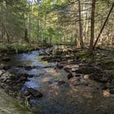 Zoar Trail, Connecticut - 2,459 Reviews, Map | AllTrails