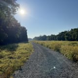 Moon Seed Loop, Louisiana - 381 Reviews, Map | AllTrails