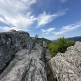 Seneca Rocks Trail, West Virginia - 3,147 Reviews, Map | AllTrails