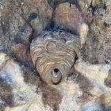 Heads Pond, New Hampshire - 889 Reviews, Map | AllTrails