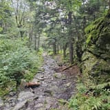 Haystack Mountain Trail, Vermont - 2,096 Reviews, Map | AllTrails