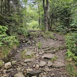 Haystack Mountain Trail, Vermont - 2,109 Reviews, Map | AllTrails