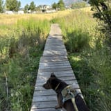 Quail Trail Loop, Utah - 291 Reviews, Map | AllTrails