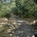 Quail Trail Loop, Utah - 291 Reviews, Map | AllTrails