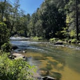 Cartecay River Loop Trail, Georgia - 2,176 Reviews, Map | AllTrails