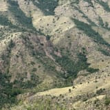 Mount Morrison Trail, Colorado - 6,466 Reviews, Map | AllTrails