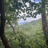 Sharp Top Trail, Virginia - 3,096 Reviews, Map | AllTrails