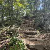 Sharp Top Trail, Virginia - 3,115 Reviews, Map | AllTrails