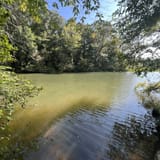 Gold Branch Trail, Georgia - 2,844 Reviews, Map | AllTrails