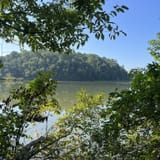 Gold Branch Trail, Georgia - 2,844 Reviews, Map | AllTrails