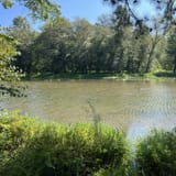 Gold Branch Trail, Georgia - 2,844 Reviews, Map | AllTrails