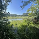 Gold Branch Trail, Georgia - 2,844 Reviews, Map | AllTrails