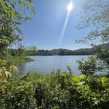 Gold Branch Trail, Georgia - 2,844 Reviews, Map | AllTrails