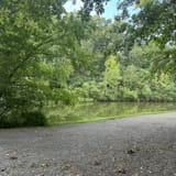 Bee Tree Lake Loop, Missouri - 546 Reviews, Map | AllTrails