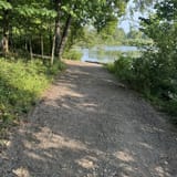 Bee Tree Lake Loop, Missouri - 534 Reviews, Map | AllTrails