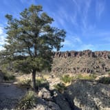 Lone Tree via Peralta Canyon Trail, Arizona - 1,944 Reviews, Map ...