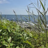 Beavertail Lighthouse Loop, Rhode Island - 1,027 Reviews, Map | AllTrails