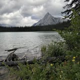 Karst Spring Trail, Alberta, Canada - 1,011 Reviews, Map | AllTrails