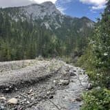 Heart Creek Trail, Alberta, Canada - 3,828 Reviews, Map | AllTrails