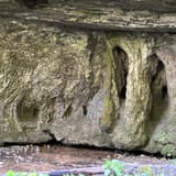 Greer Spring Trail, Missouri - 338 Reviews, Map | AllTrails