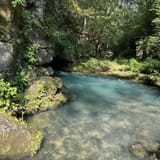 Greer Spring Trail, Missouri - 338 Reviews, Map | AllTrails